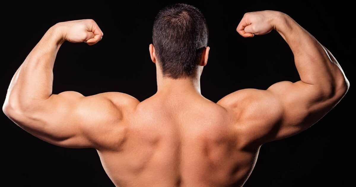 How To Get Bigger Biceps Using Dumbbells
